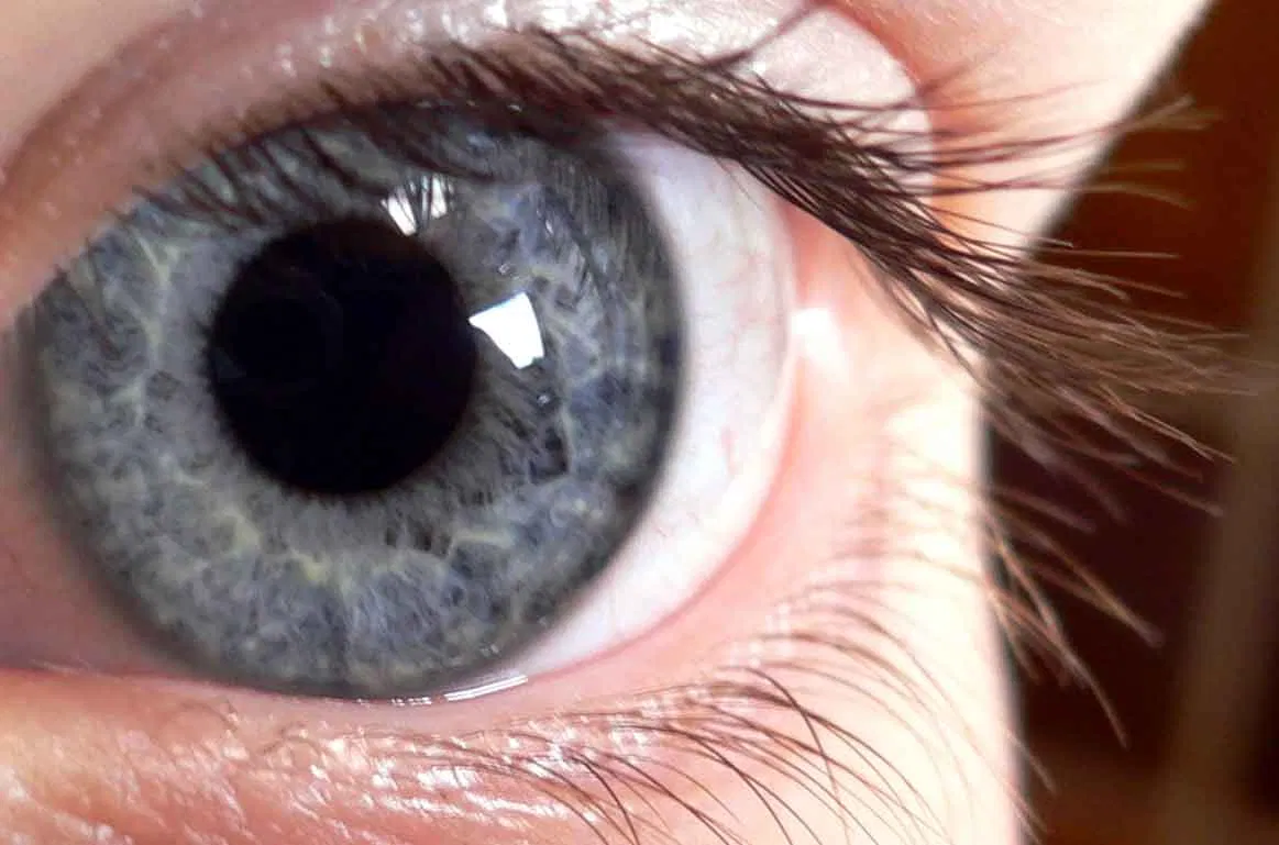 See 7 Rare Types of Eye Colors That Exist - Myce.wiki