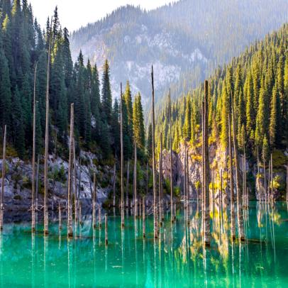 10 Rarest Things in the World - Myce.wiki